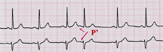 中西医助理-中西医内科学（2023） - 正保医学教育网免费试听课堂